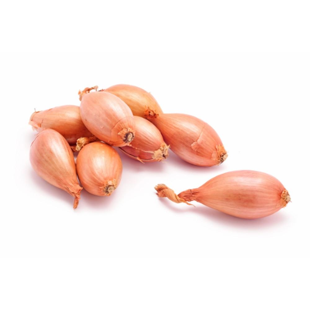 French shallot - Colabor